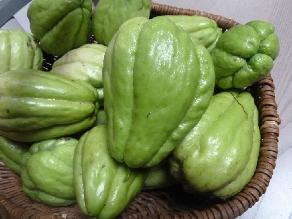 10 beneficios de comer Tayota (Chayotes) | Dominicana al dia